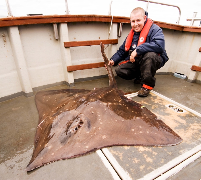 Creature Feature: Flapper Skate