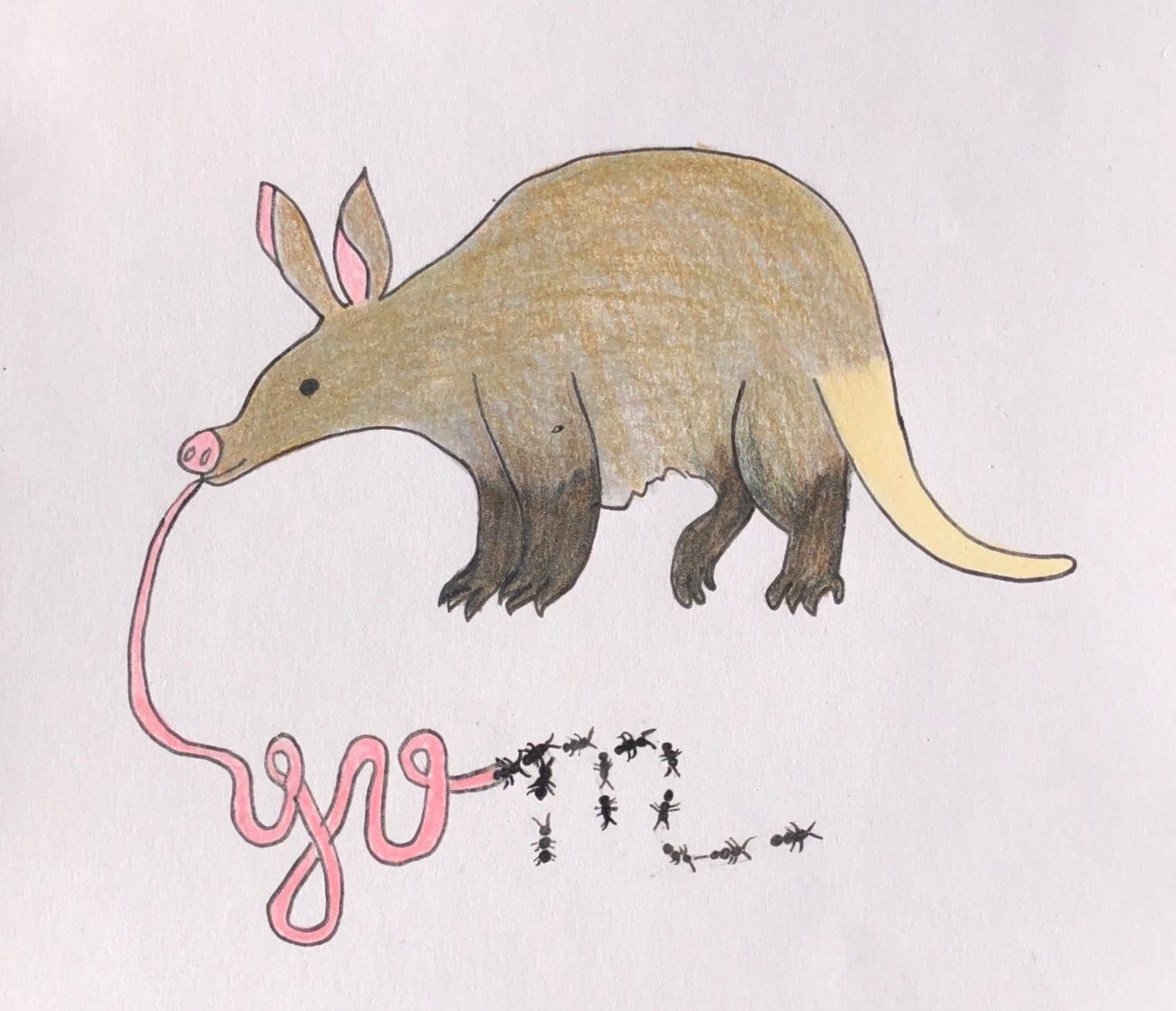 Sunday Sketch: Get Ready for Aardvark Week