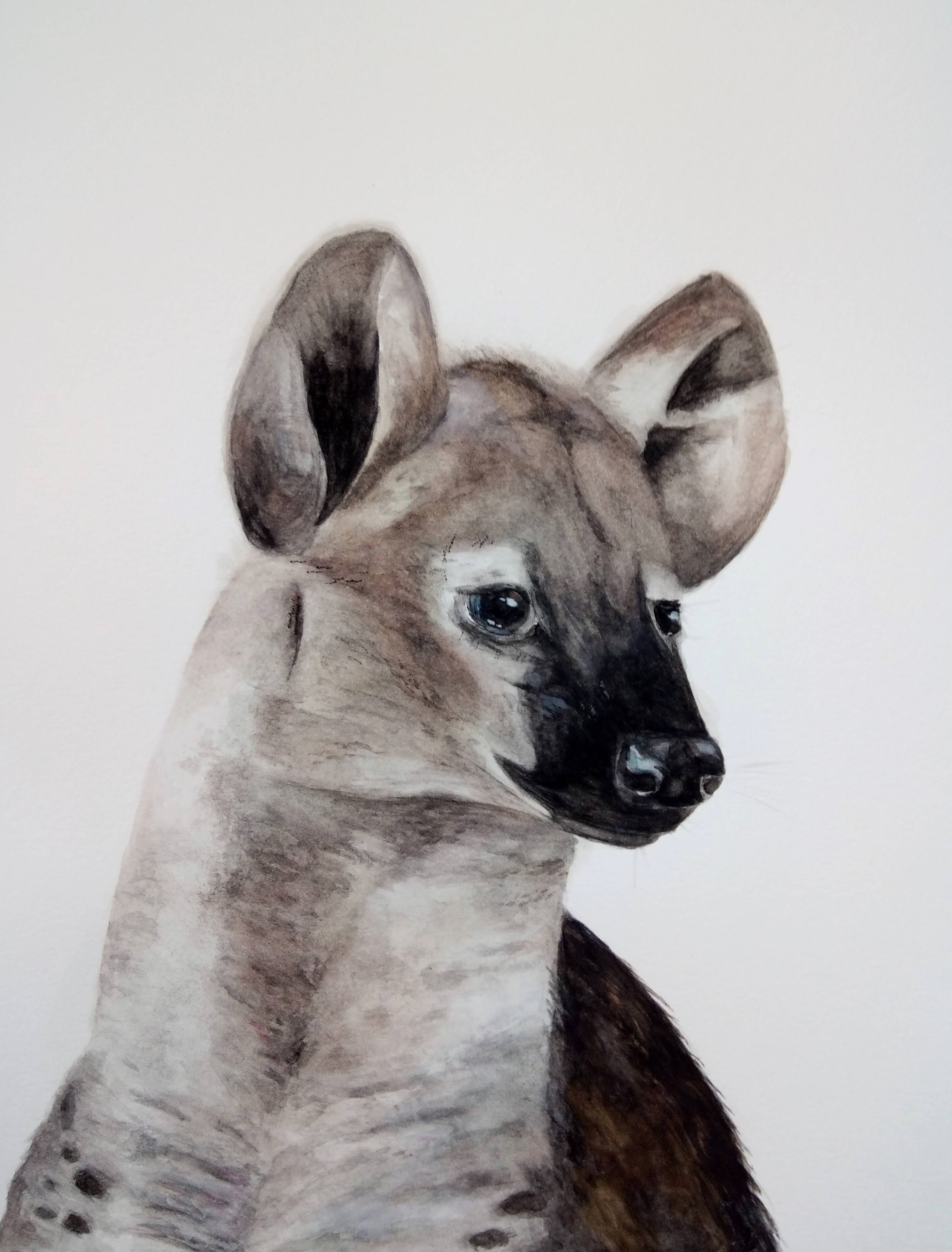 Sunday Sketch: Are You a Squitter?