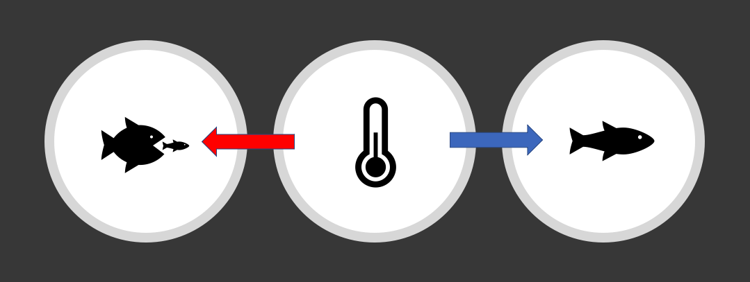 Field Notes: Do You Prefer Your Salmon Hot or Iced?