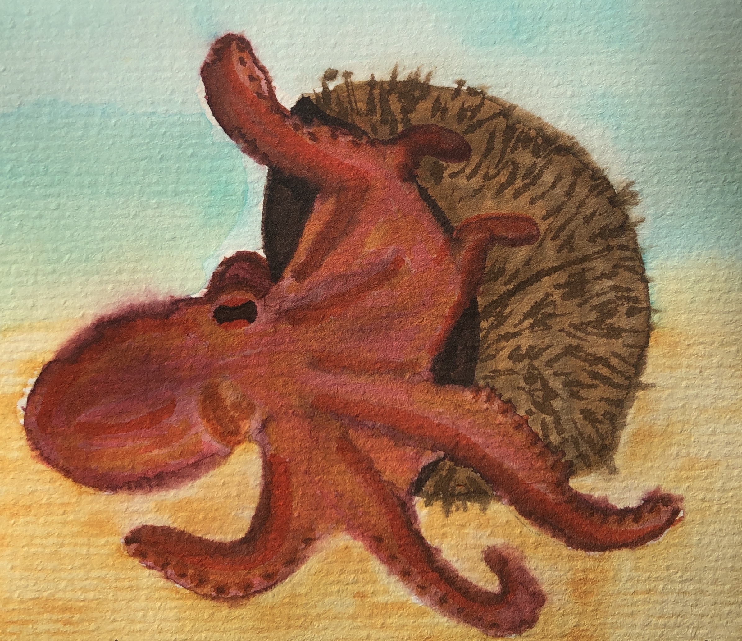 Sunday Sketch: Protect your Noggin