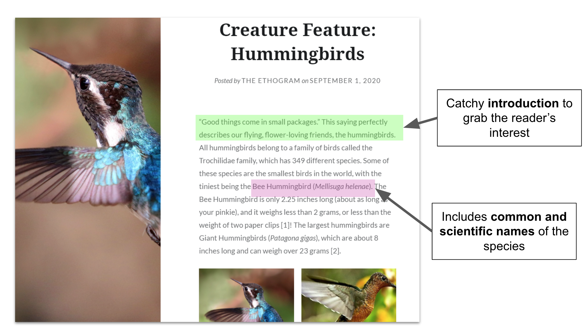 Lesson Plan: Science Communication