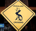 Creature Feature: Jackalope